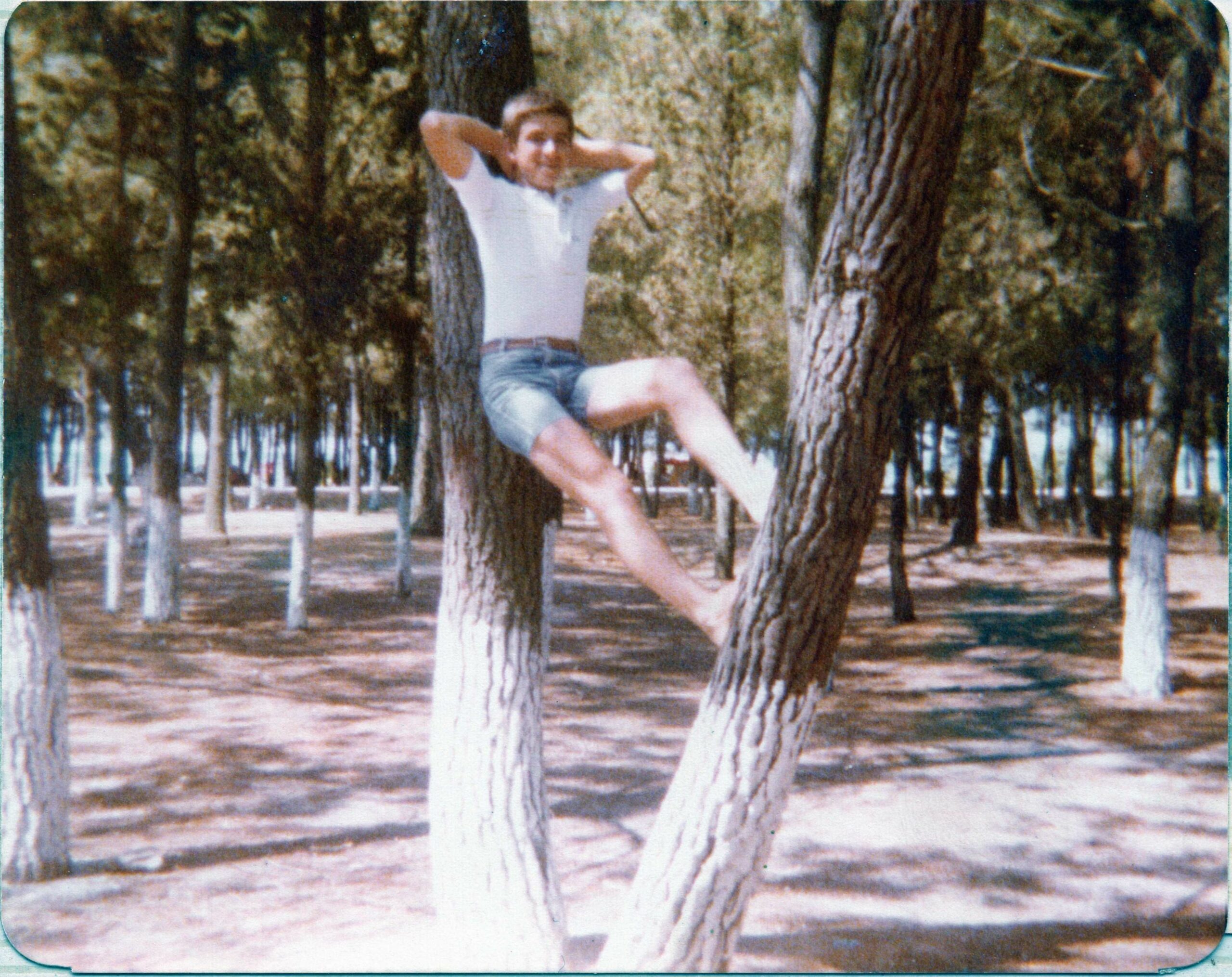 Αρχείο Σάκη Καρτάλη | Kartalis Tree